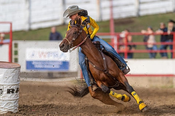 308866601_10158480521992811_7263931714028005496_n_grande.jpg?v=1672874546